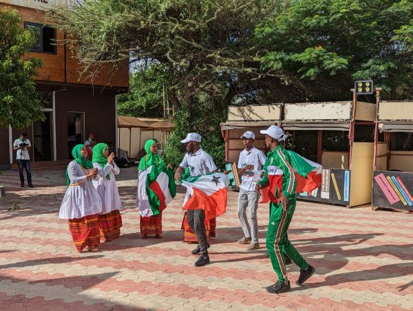 Best Somaliland Tours and Holidays for 2026 and 2027