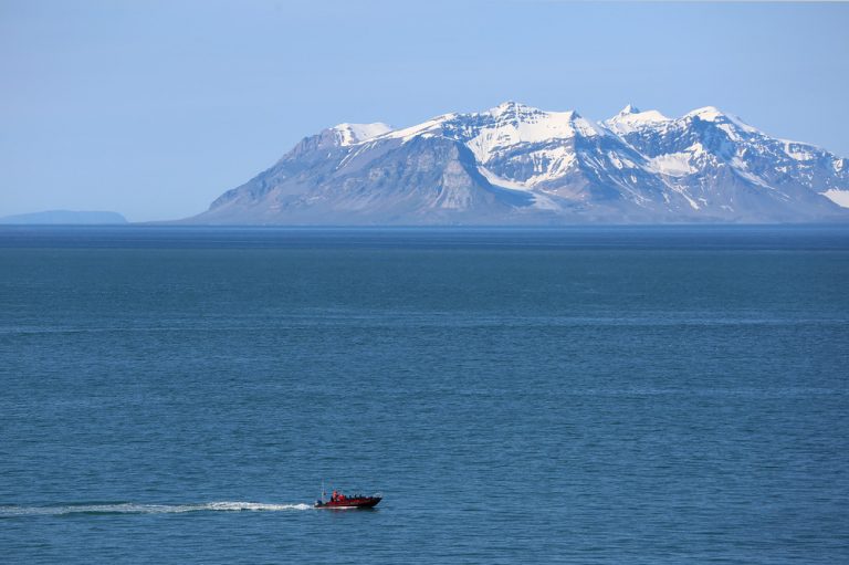 Best Svalbard Tours and Cruises for 2025 and 2026 - YPT