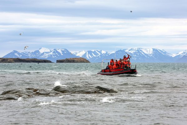 Best Svalbard Tours and Cruises for 2025 and 2026 - YPT