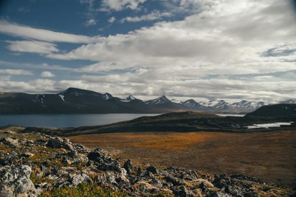 Best Svalbard Tours and Cruises for 2025 and 2026 - YPT