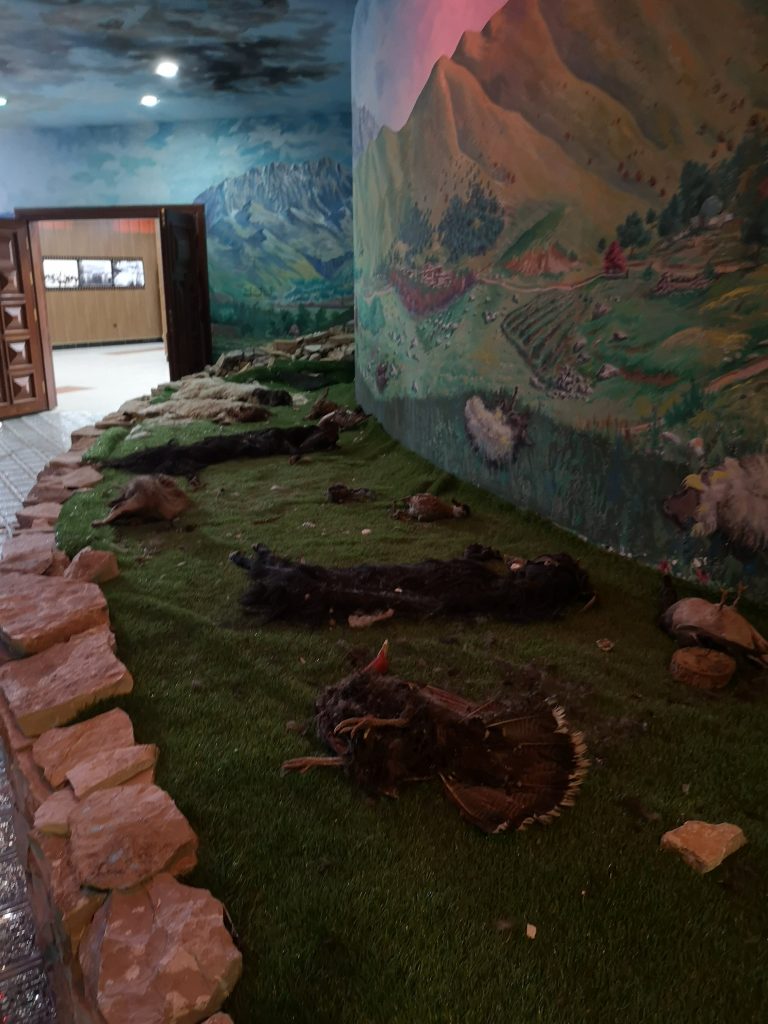 Halabja Chemical Attack site in Kurdistan — Young Pioneer Tours