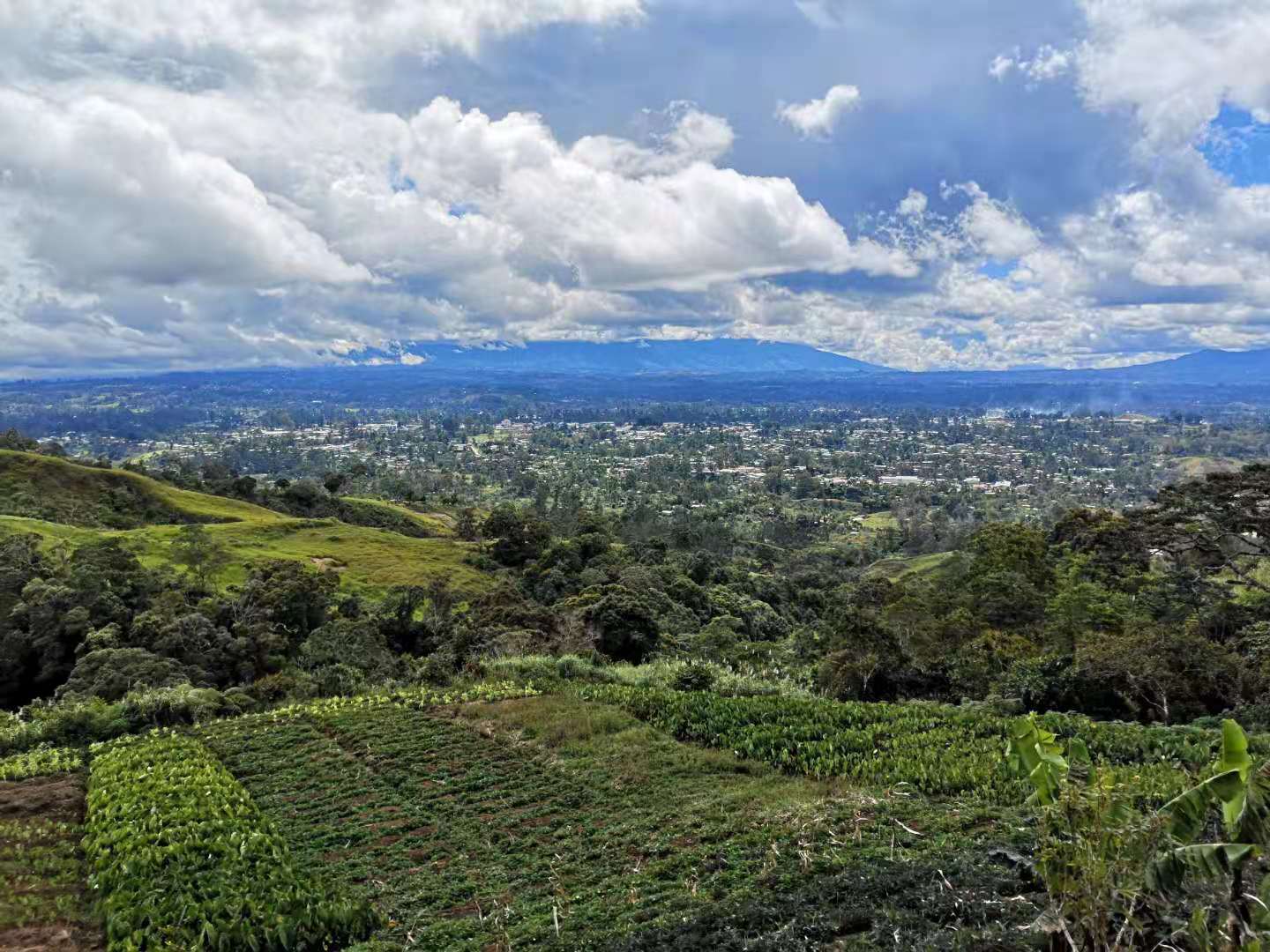 Mount Hagen City Guide Papua New Guinea 2025 — Young Pioneer Tours