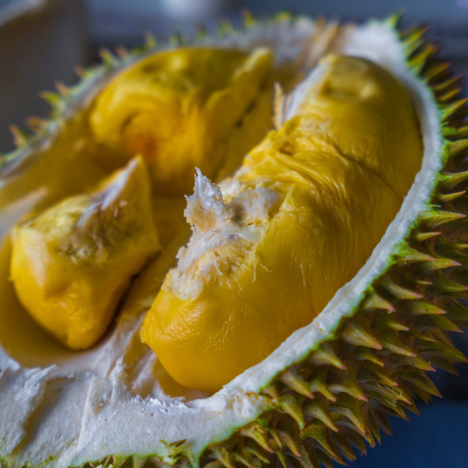 7 things you need to know about durian: the world’s stinkiest snack ...