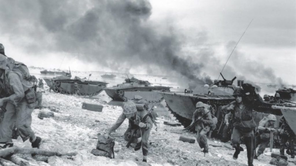 Peleliu Island Day Guide - 2025 — Young Pioneer Tours