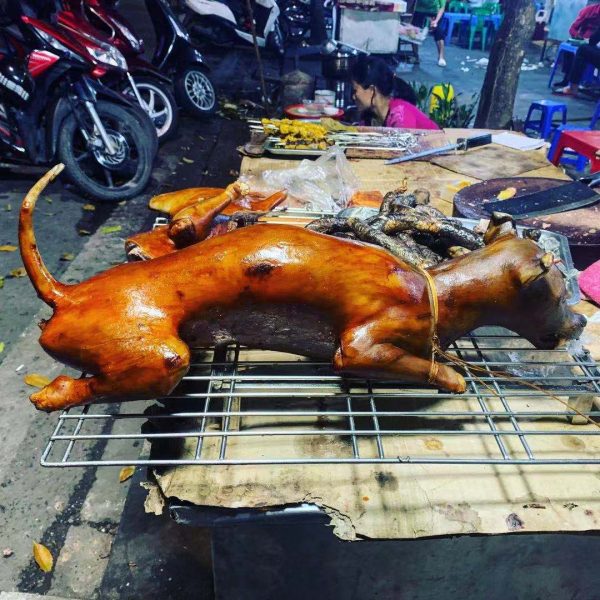 Korean Cuisine - 15 Must Try Foods — Young Pioneer Tours