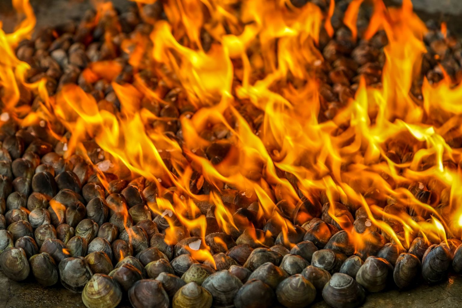 Nampo Petrol Clam BBQ — Young Pioneer Tours