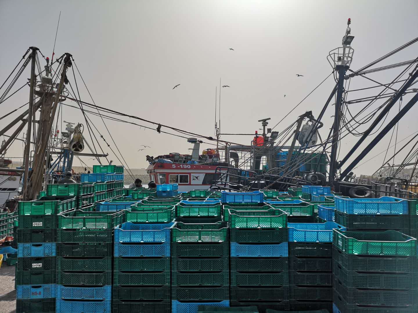 Things to do in Western Sahara — Young Pioneer Tours