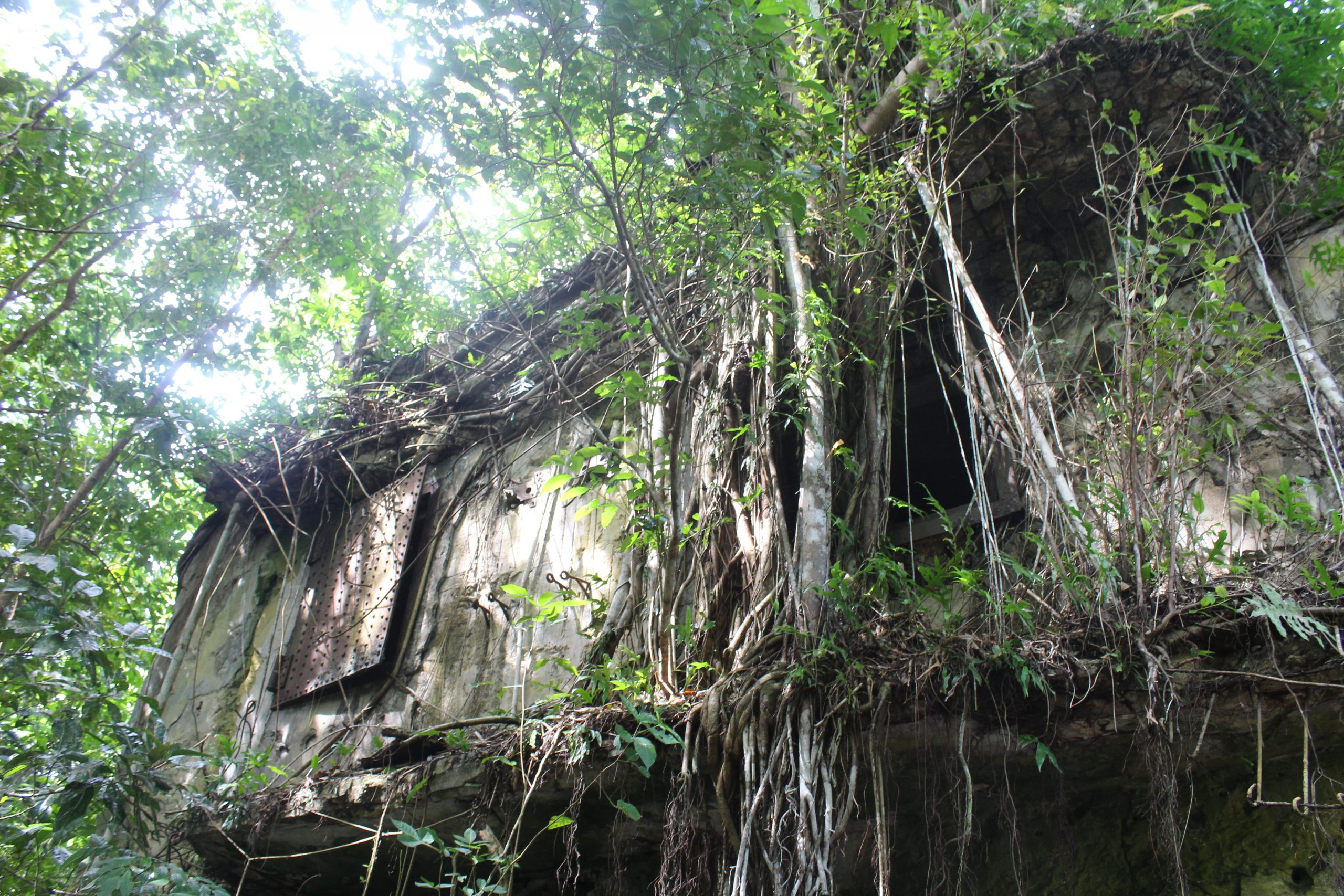 Best Palau Tours and Travels — Young Pioneer Tours