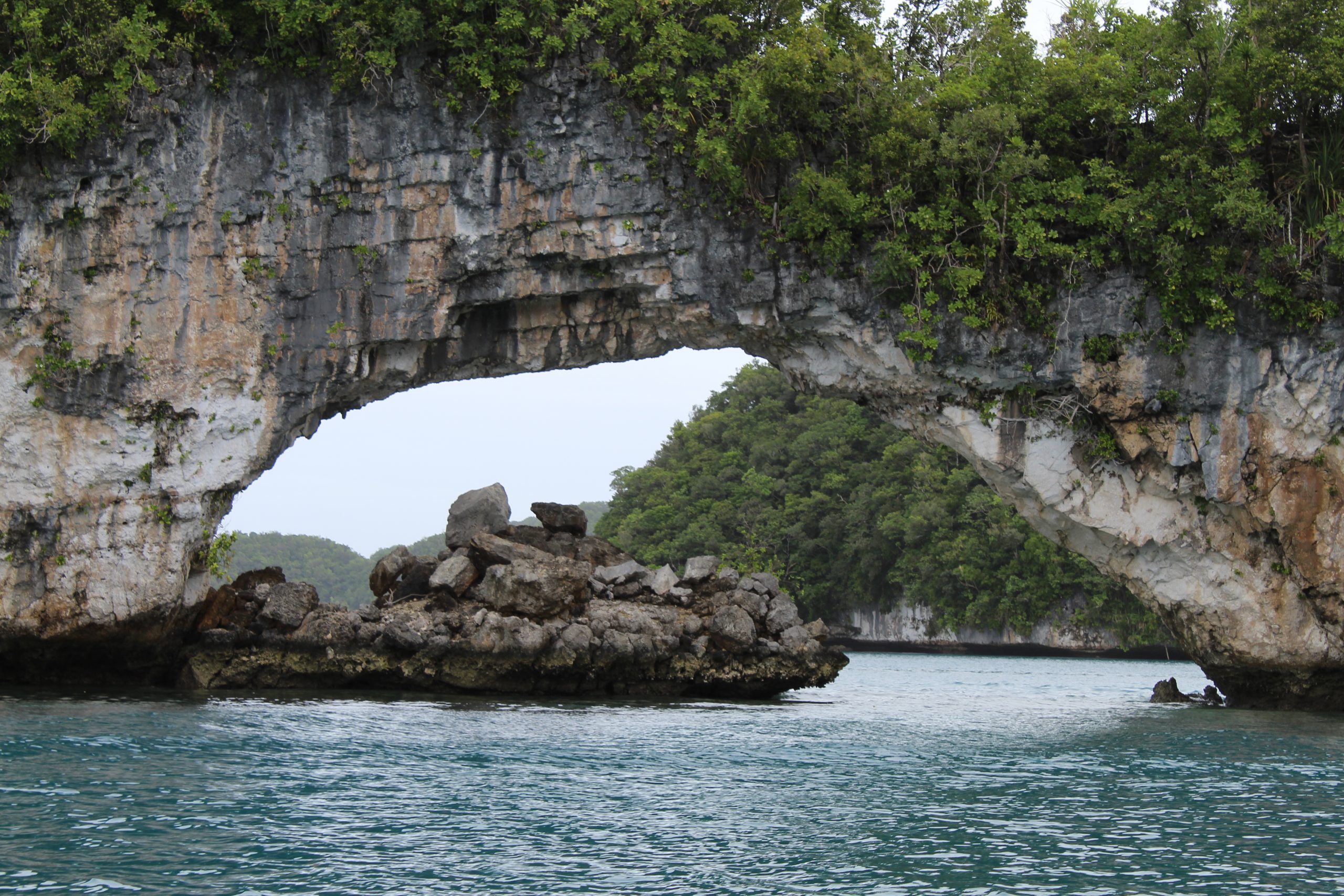 Best Palau Tours and Travels — Young Pioneer Tours