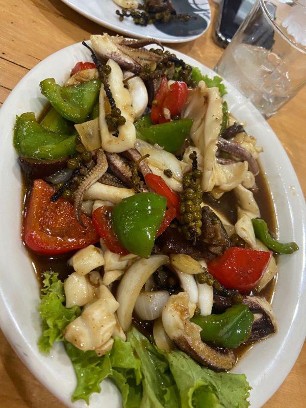 Ultimate Anlong Veng Guide 2025