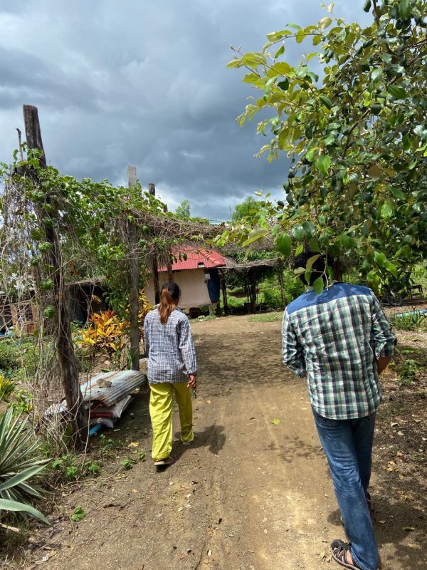 The Ultimate Pailin Guide — Young Pioneer Tours