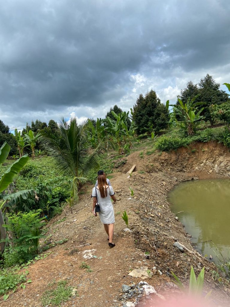 The Ultimate Pailin Guide — Young Pioneer Tours