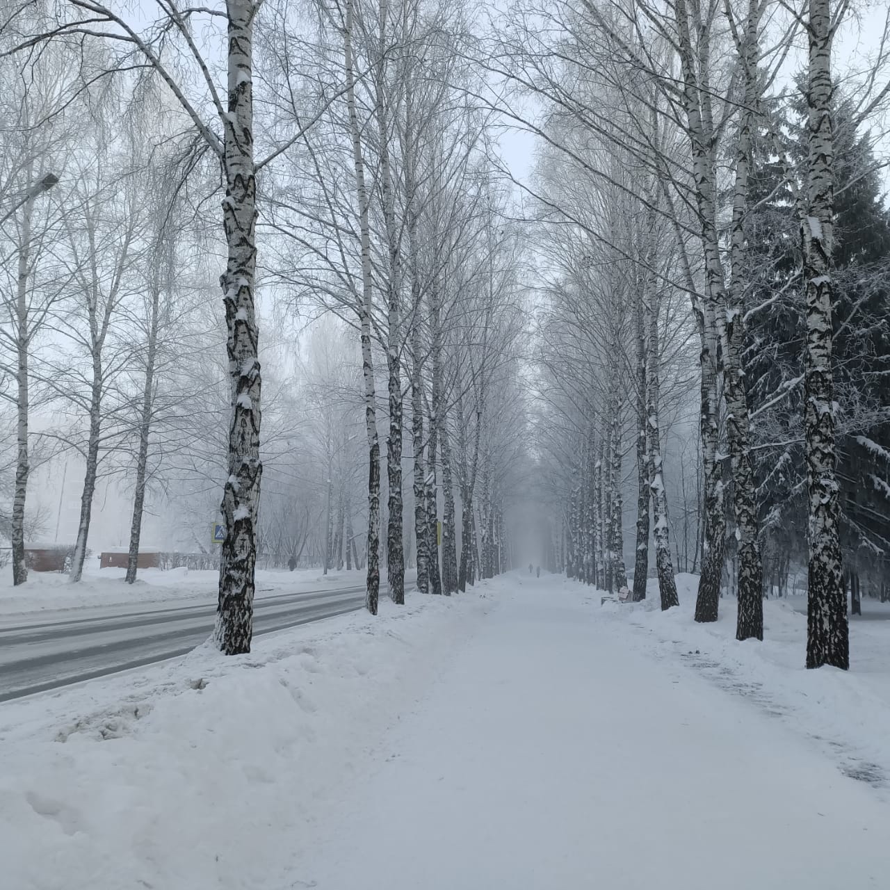 How To Survive Siberian Winter? — No1 Guide - Young Pioneer Tours