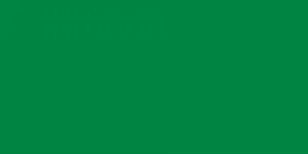 Flag of Libya — Young Pioneer Tours