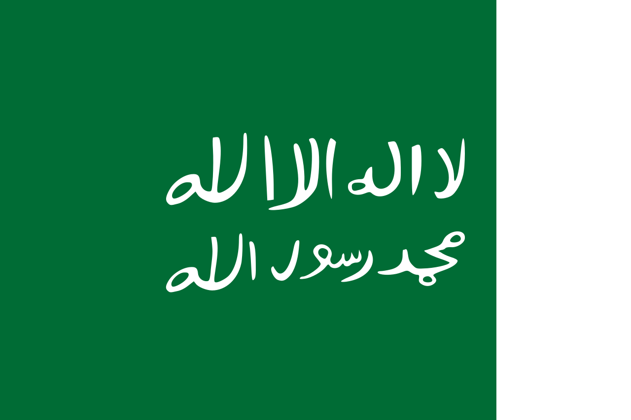 Flag of Saudi Arabia — Young Pioneer Tours