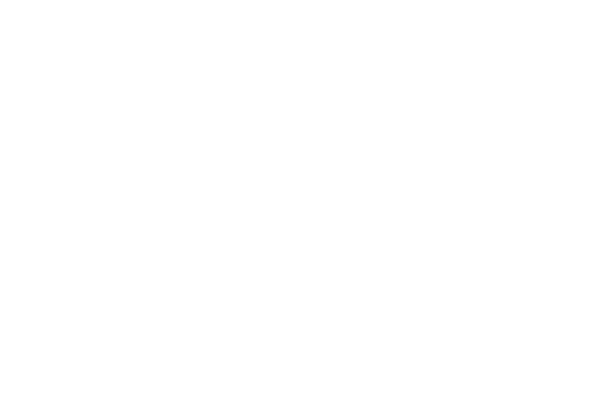 Guide to the Taliban Flag 2023 - Afghanistan Guide