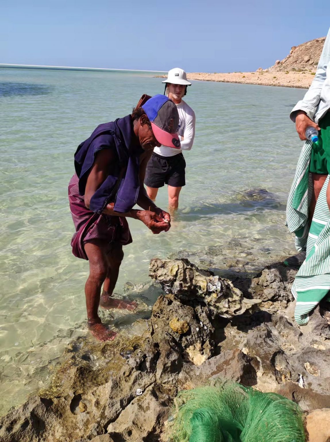 Best Socotra Tours for 2026 and 2027