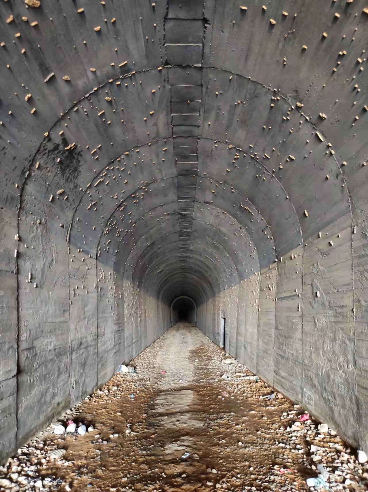 How to ride the Longest Train in The World - Mauritania 2024