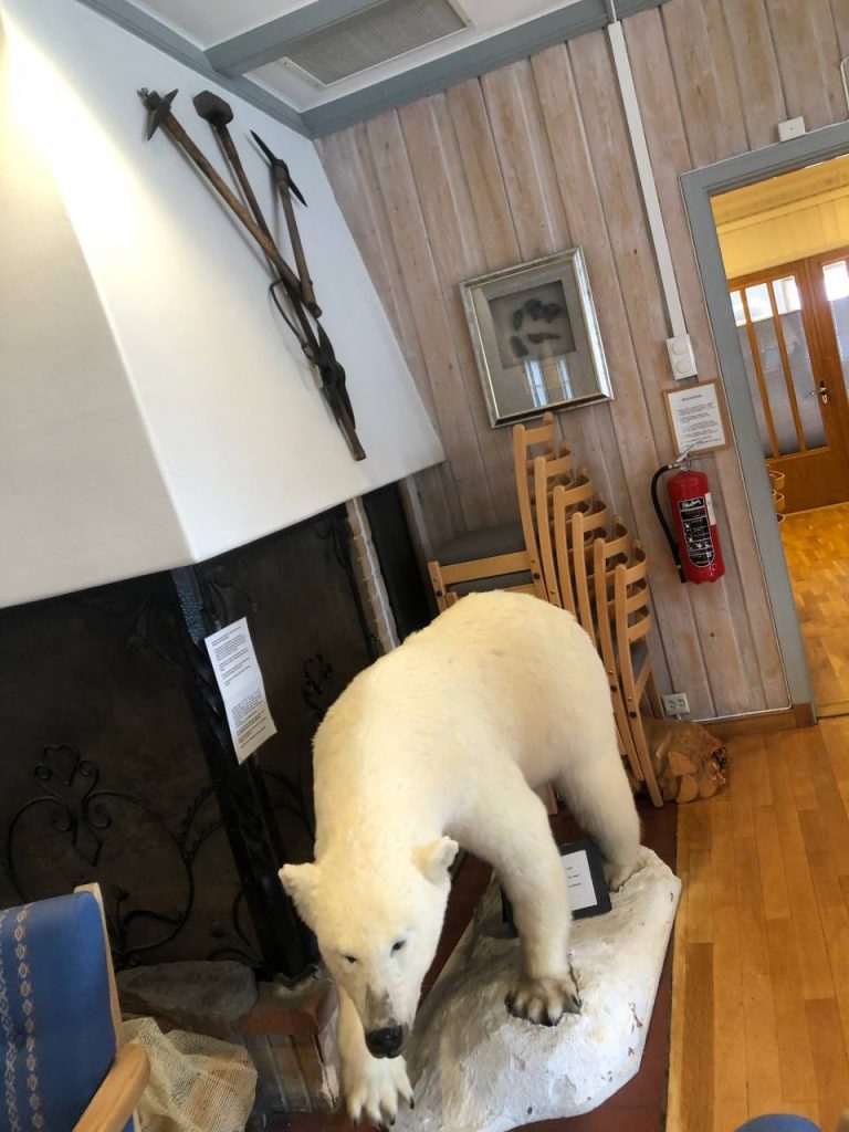 Ultimate Longyearbyen Guide 2025 — Young Pioneer Tours