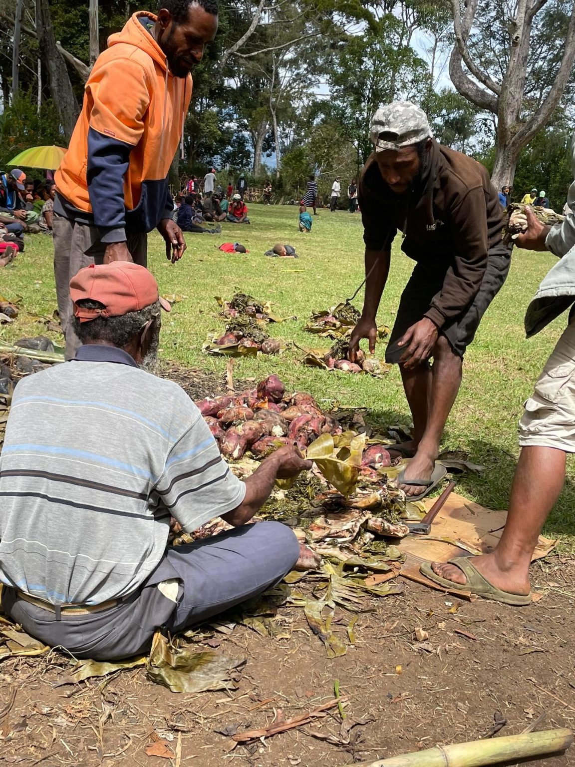Eating Mumu in Papua New Guinea — Young Pioneer Tours
