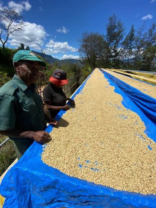 Lae City Guide - Papua New Guinea — Young Pioneer Tours