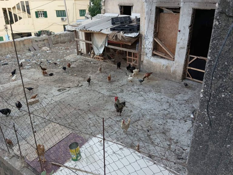 Visiting Mar Elias Refugee Camp in 2025