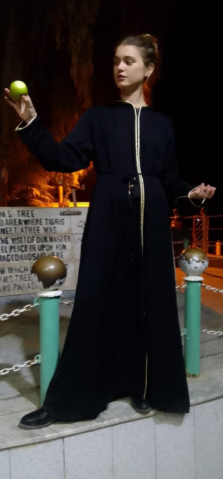 Adams Tree, Garden of Eden, Al-Qurna, Iraq — 2024 Guide