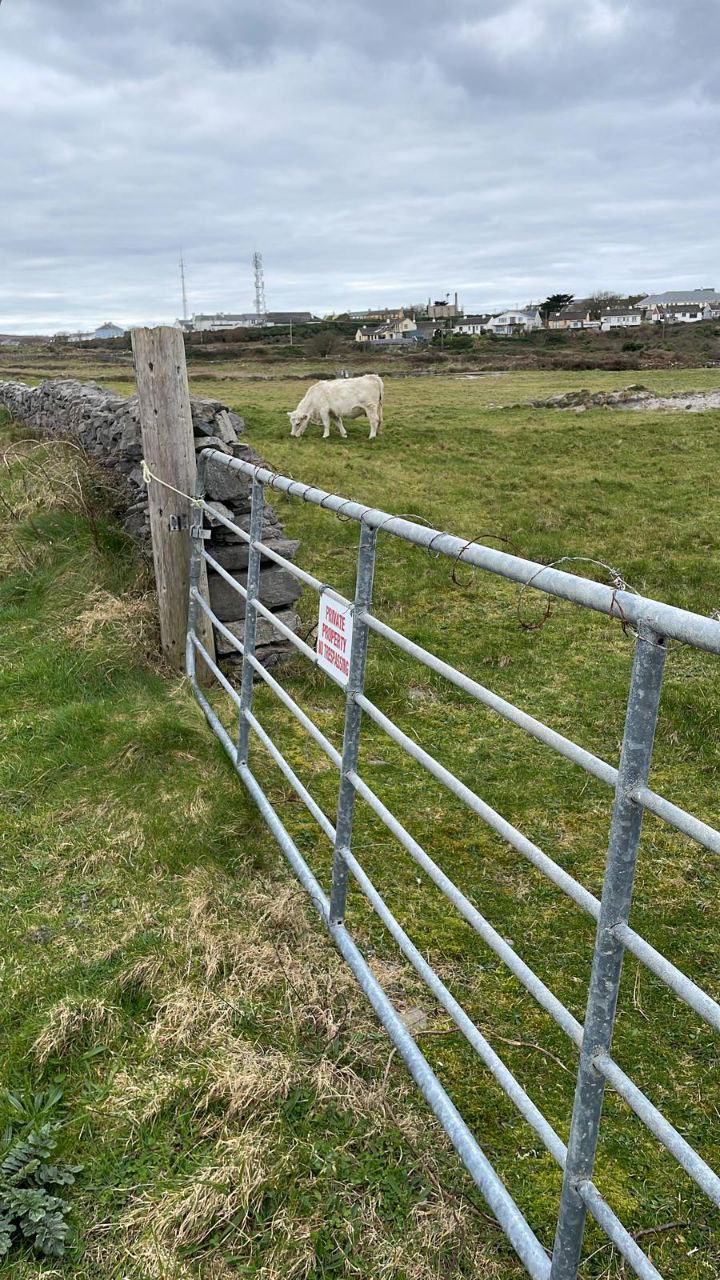 Inishmore Island Guide 2025 — Young Pioneer Tours