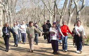 Anti-Cancer Walk: Guo Lin Qi Gong — Young Pioneer Tours