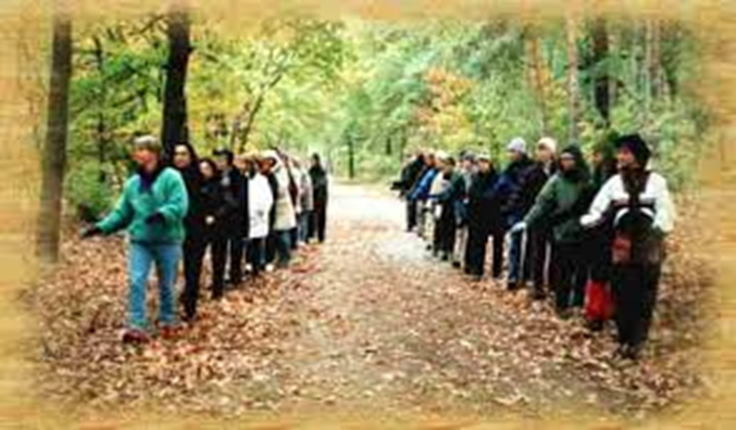 Anti-Cancer Walk: Guo Lin Qi Gong — Young Pioneer Tours