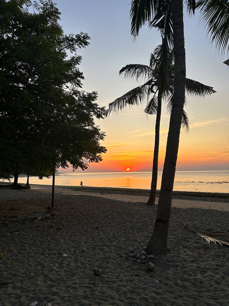 Why Visit Oeucusse - Timor-Leste — Young Pioneer Tours