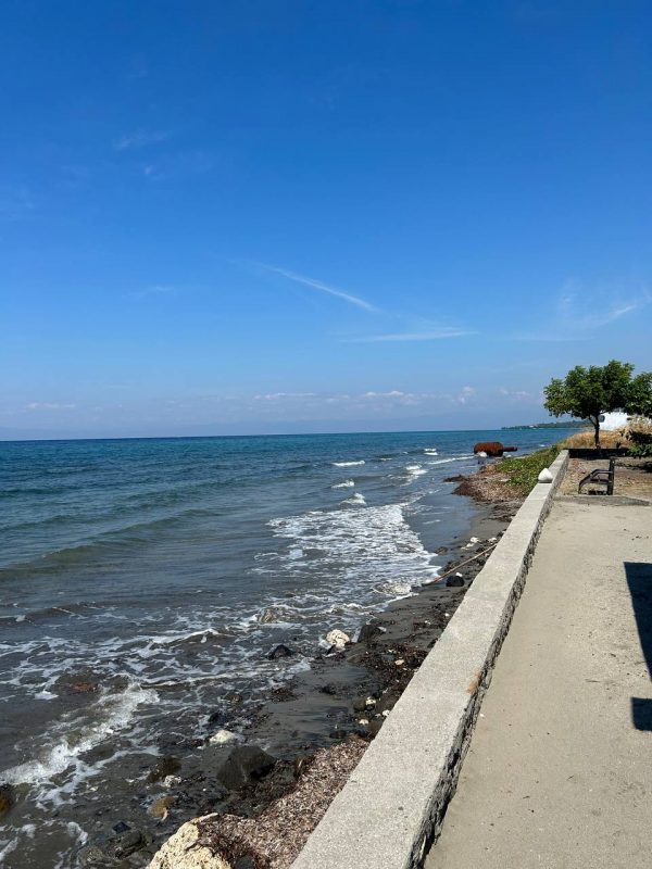 What is it like to visit Atauro Island East Timor? — Young Pioneer Tours