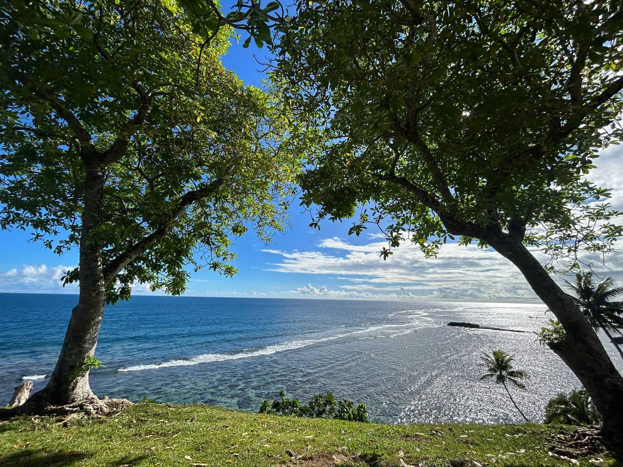 The Surreal Kingdom of Tonga — Young Pioneer Tours