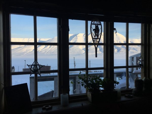 Best Svalbard Tours and Cruises for 2025 and 2026 - YPT