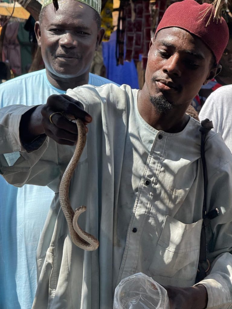 Best Chad Tours and Travel for 2025 and 2026 - YPT