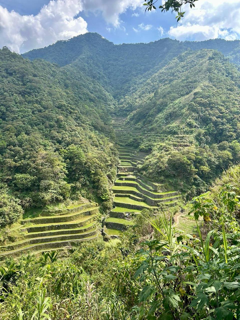 Visiting Banaue Rice Terraces — Young Pioneer Tours