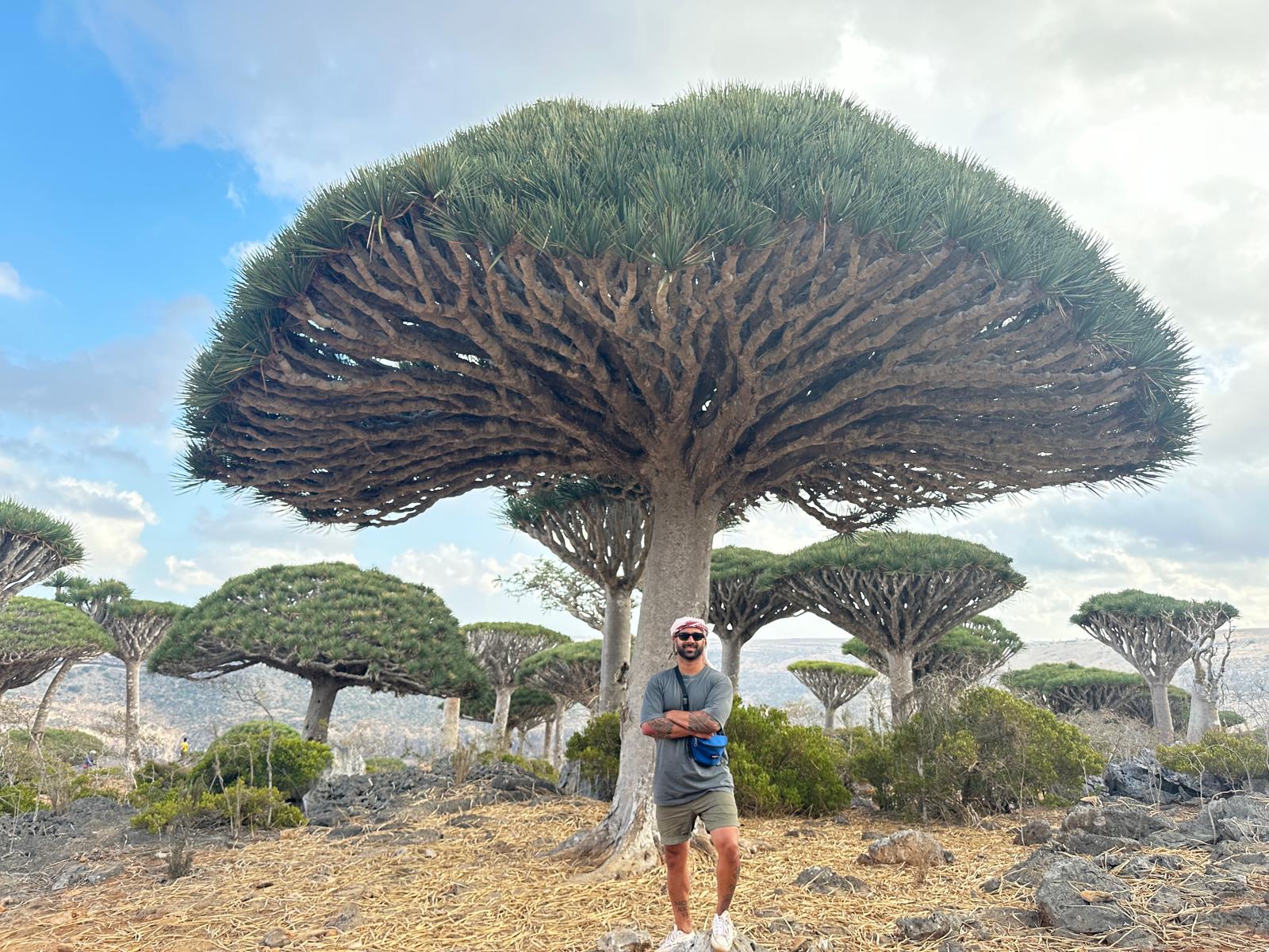 Can I still visit the United States of America (USA) after visiting ...