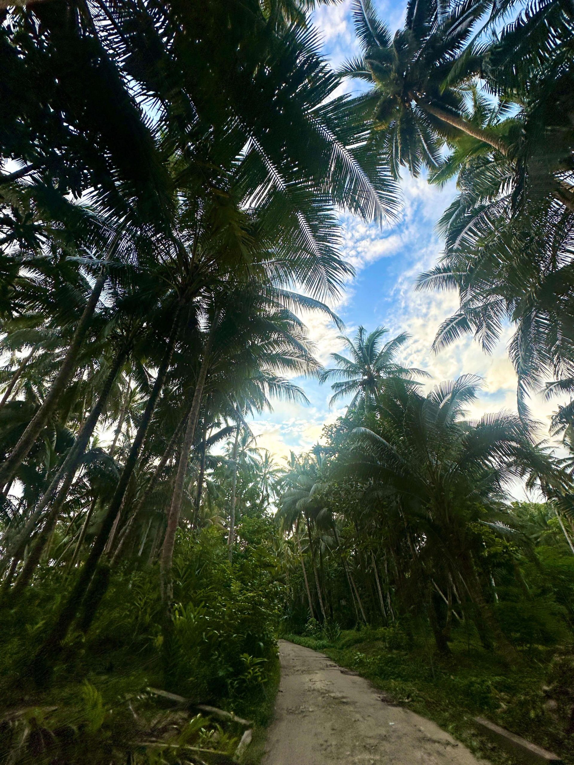 Gizo Island Extension - Least Visited Countries Combo