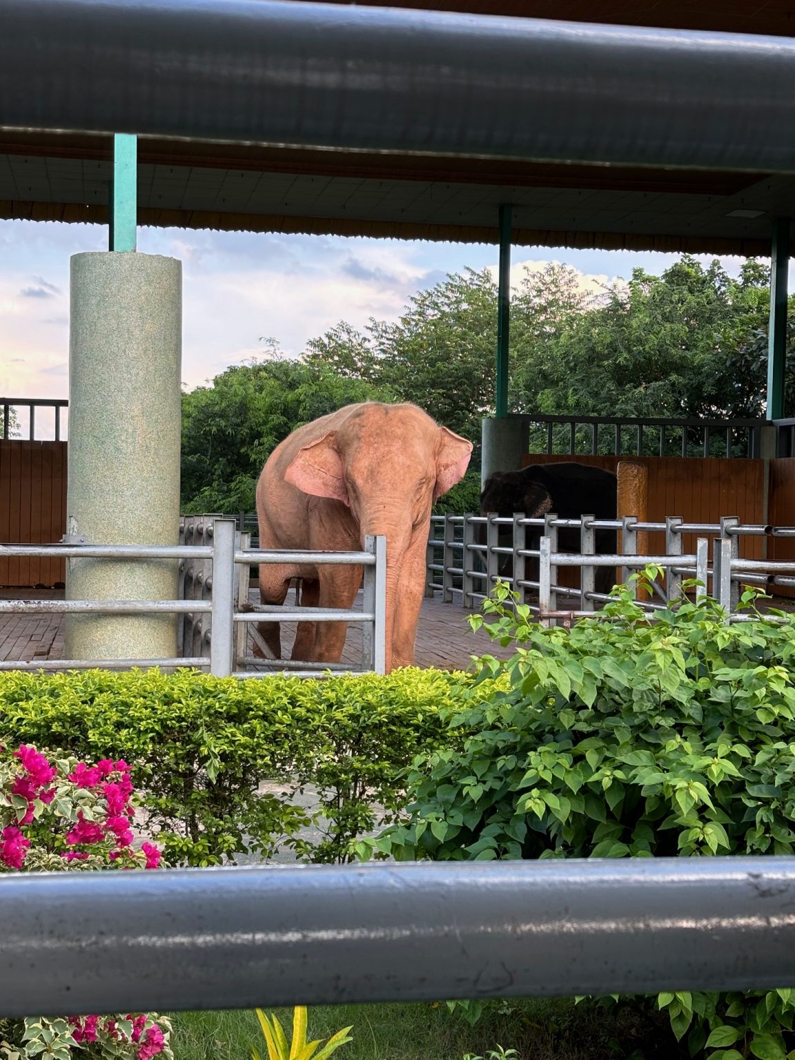 How to Visit Naypyidaw: Exploring Myanmar’s Ghost Town Capital — Young Pioneer Tours