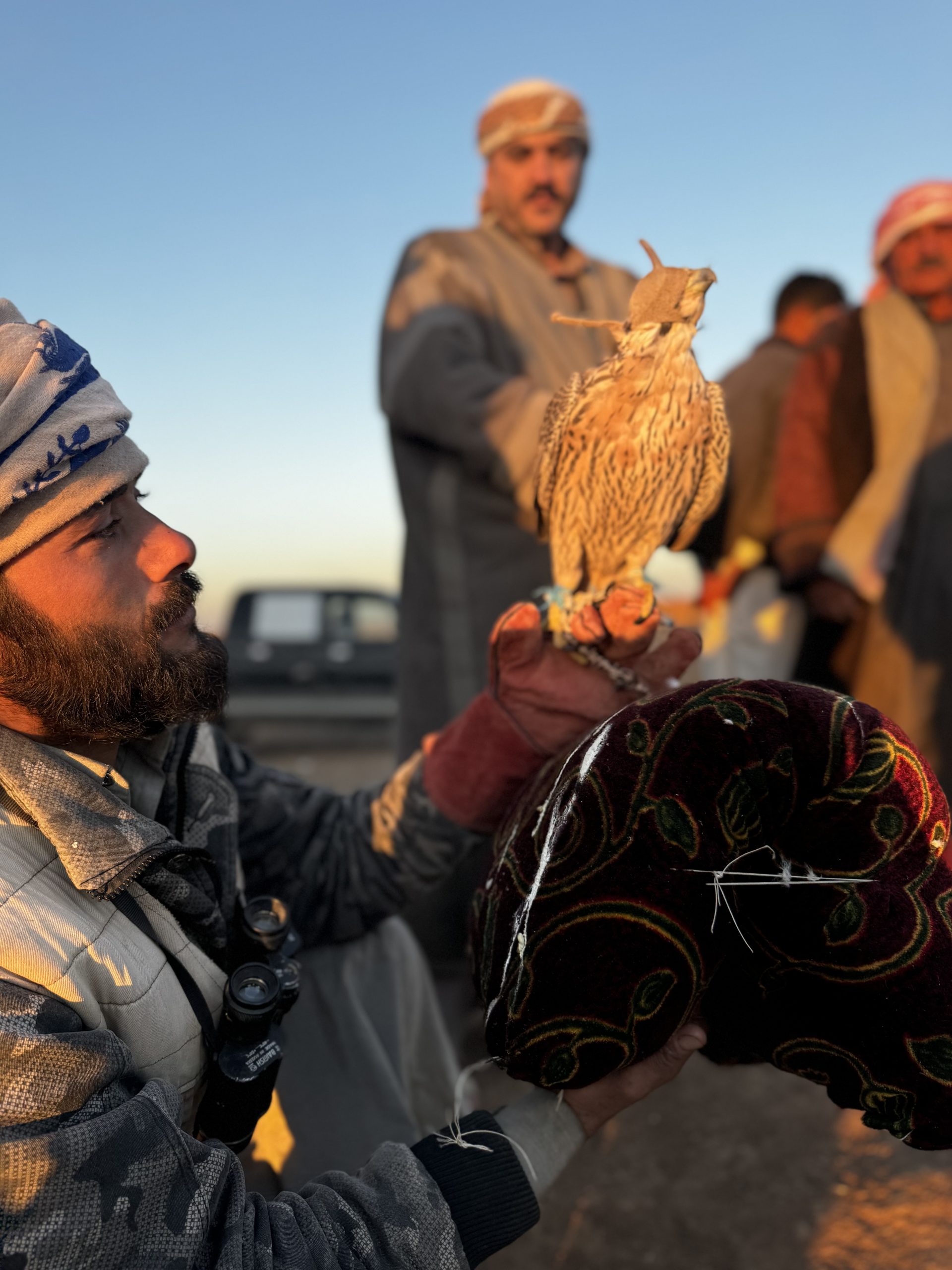 Syrian Falcon Hunting: A Morning With Falcon Hunters