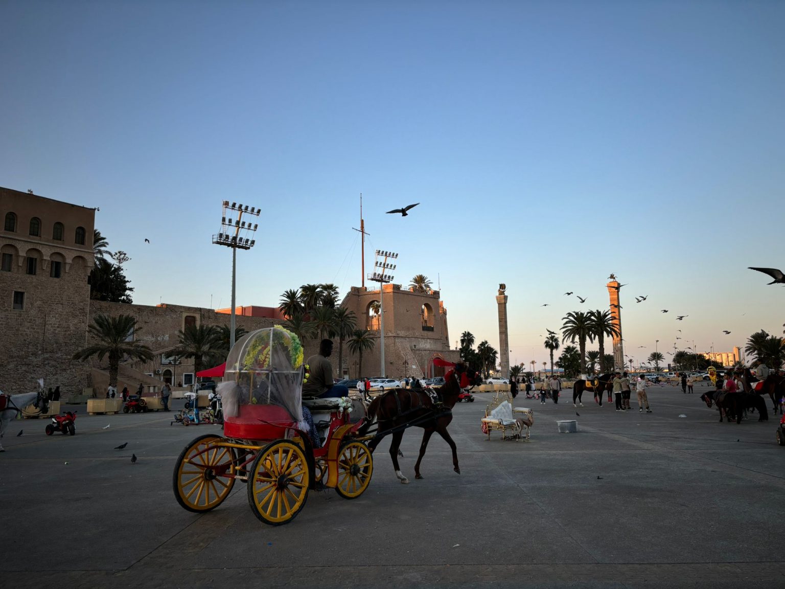 10 interesting fun facts about Libya — Young Pioneer Tours