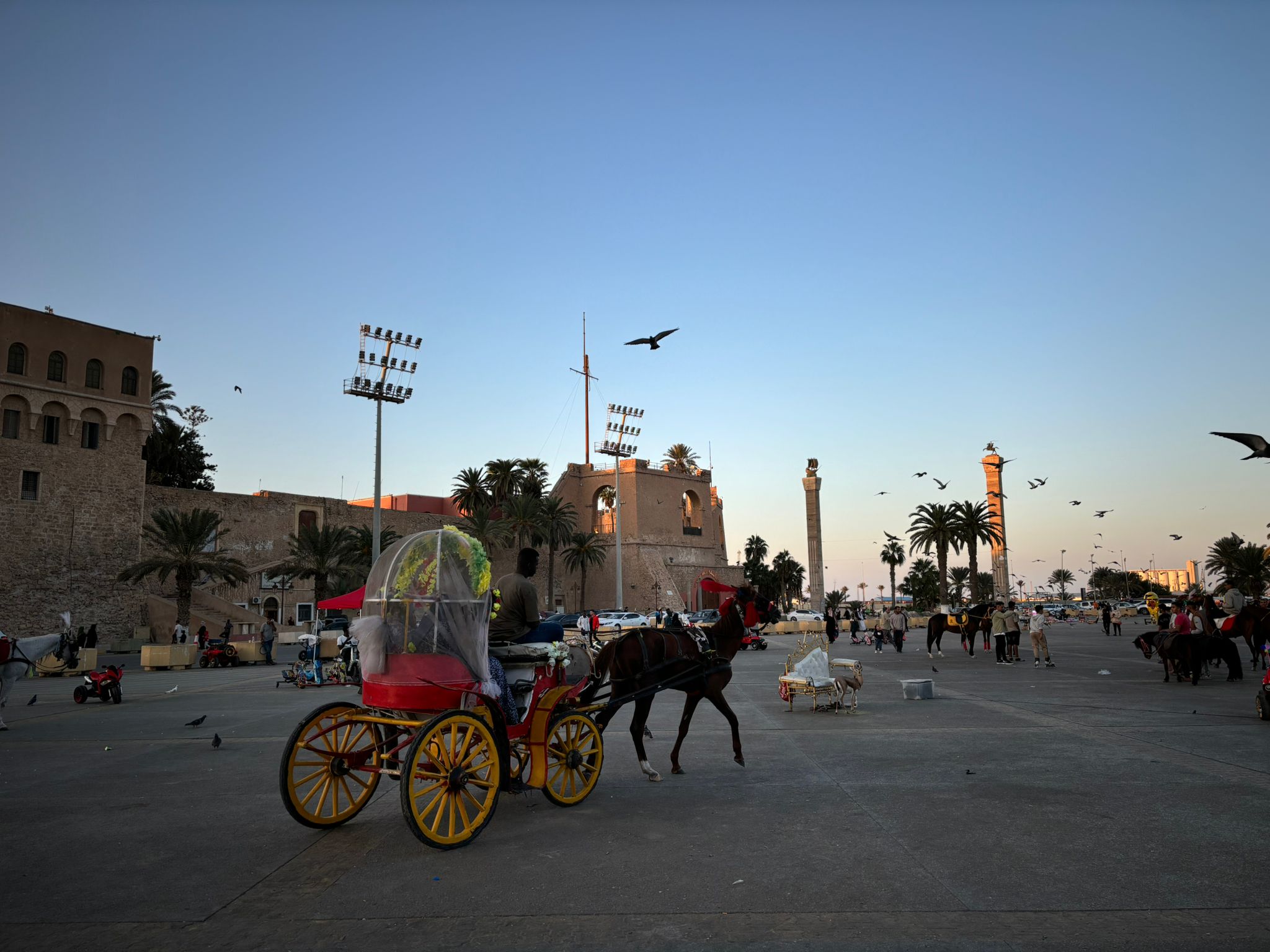 10 interesting fun facts about Libya — Young Pioneer Tours