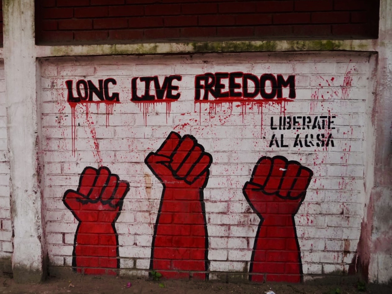 The murals of Dhaka - a testament to the Bangladesh Uprising of July ...