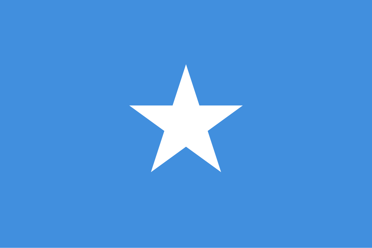 The Somalia Flag - A Bold and Unique Design: Young Pioneer