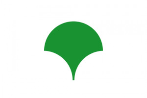 The Flag of Japan: History, Symbolism, and Controversies — Young ...