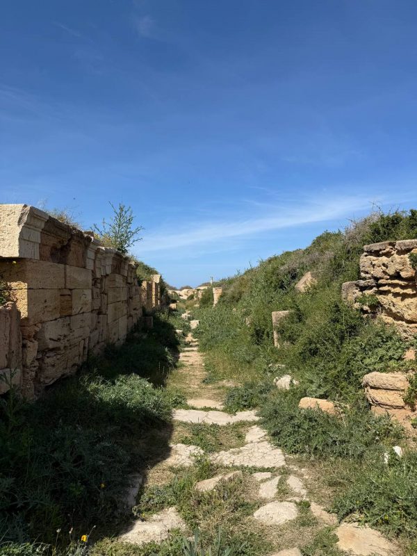 What It’s Like to Visit Leptis Magna - 2026 Guide — Young Pioneer Tours