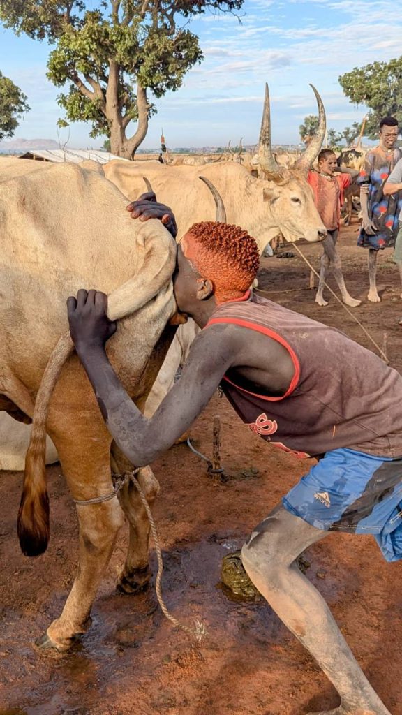 Experiencing a Cow Urine Shower in South Sudan — Young Pioneer Tours