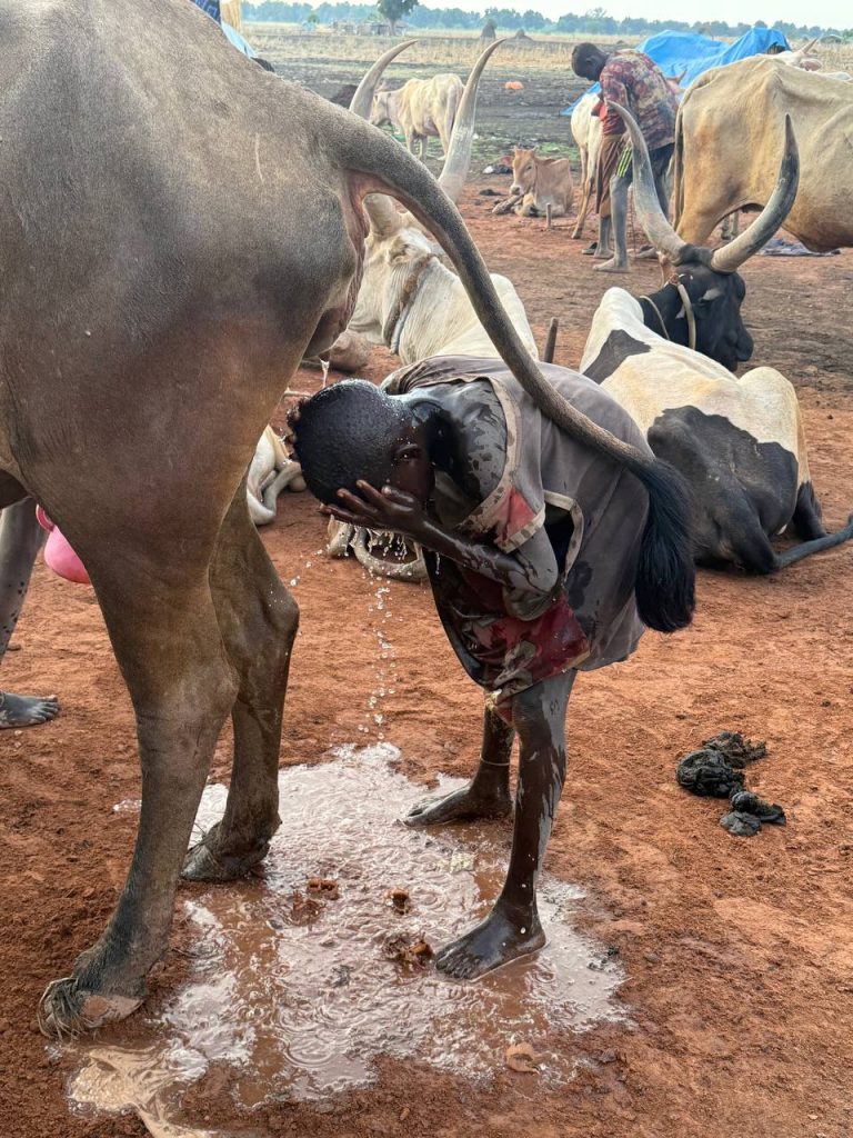 Experiencing a Cow Urine Shower in South Sudan — Young Pioneer Tours