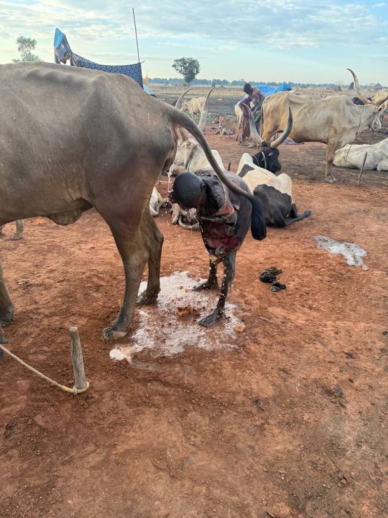 Experiencing a Cow Urine Shower in South Sudan — Young Pioneer Tours