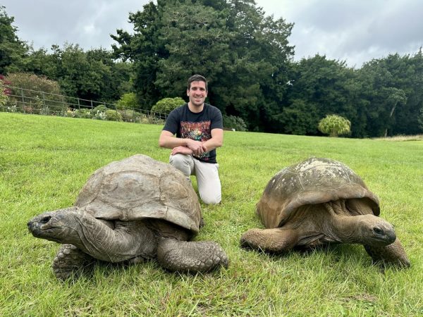 A fun encounter with Jonathan the Giant Tortoise: the 193-year-old ...